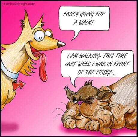 Health Promotion cartoons – Caricatures Ireland by Allan Cavanagh